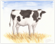 Cow Watercolor Painting - Ottawa Location | Putnam County District Library