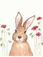Bunny Watercolor Painting - Ottawa Location | Putnam County District ...